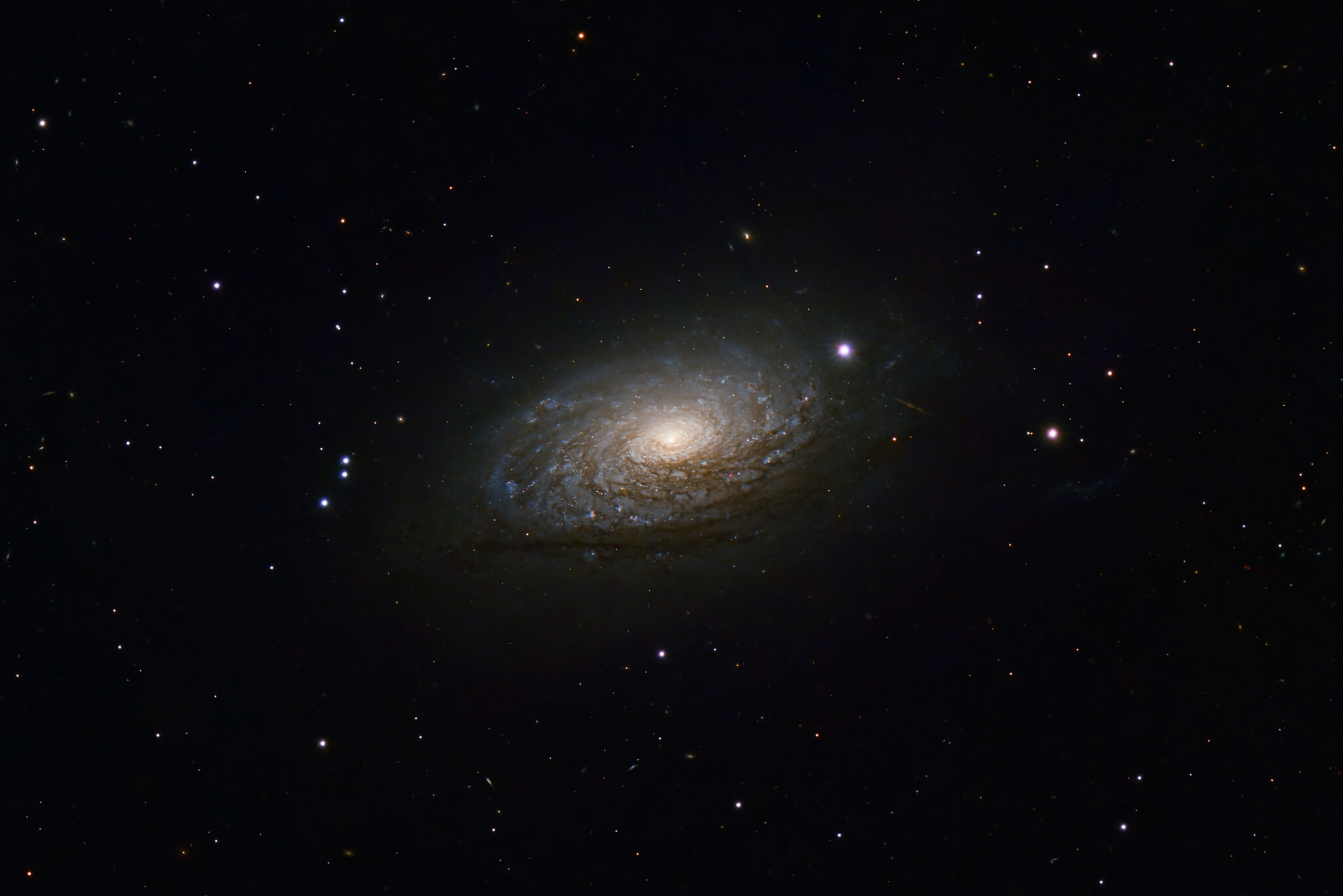 Nathan Brandt Astrophotography